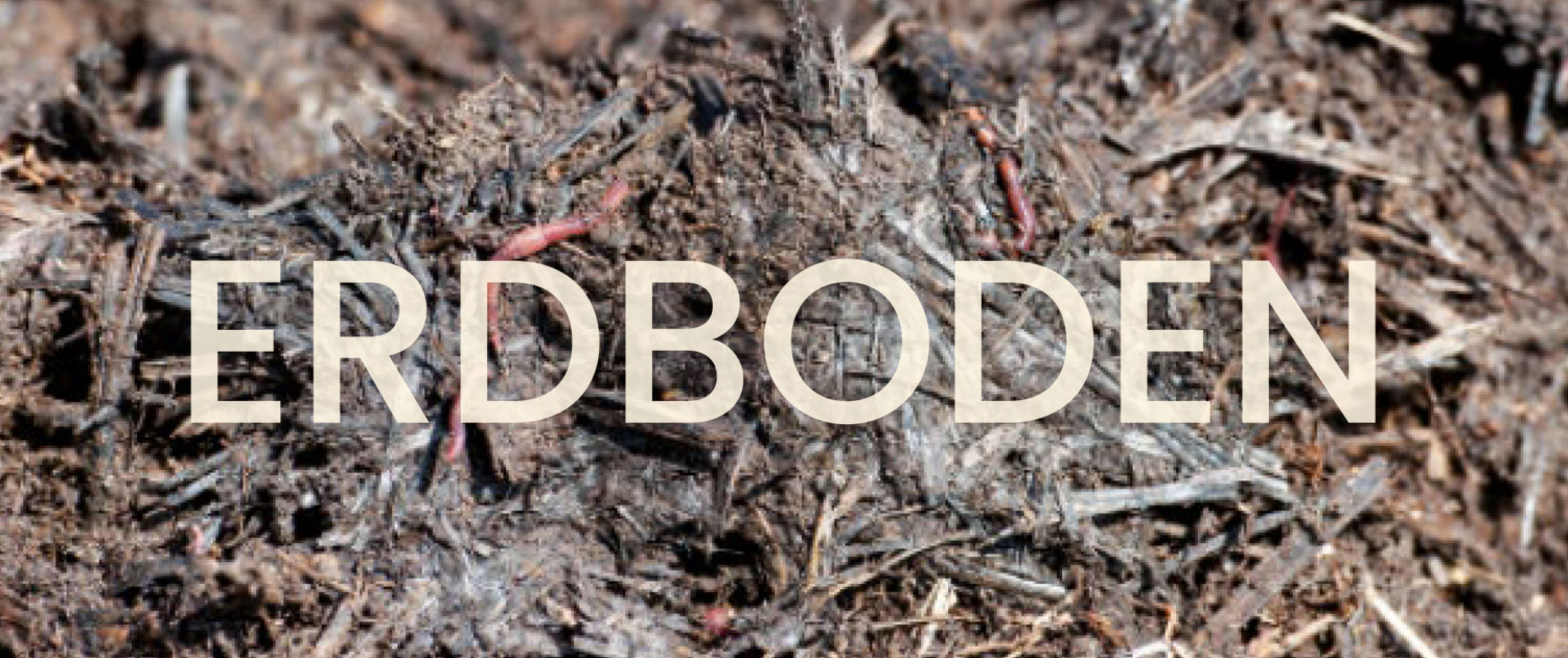 AKTUELLES – FELDGANG